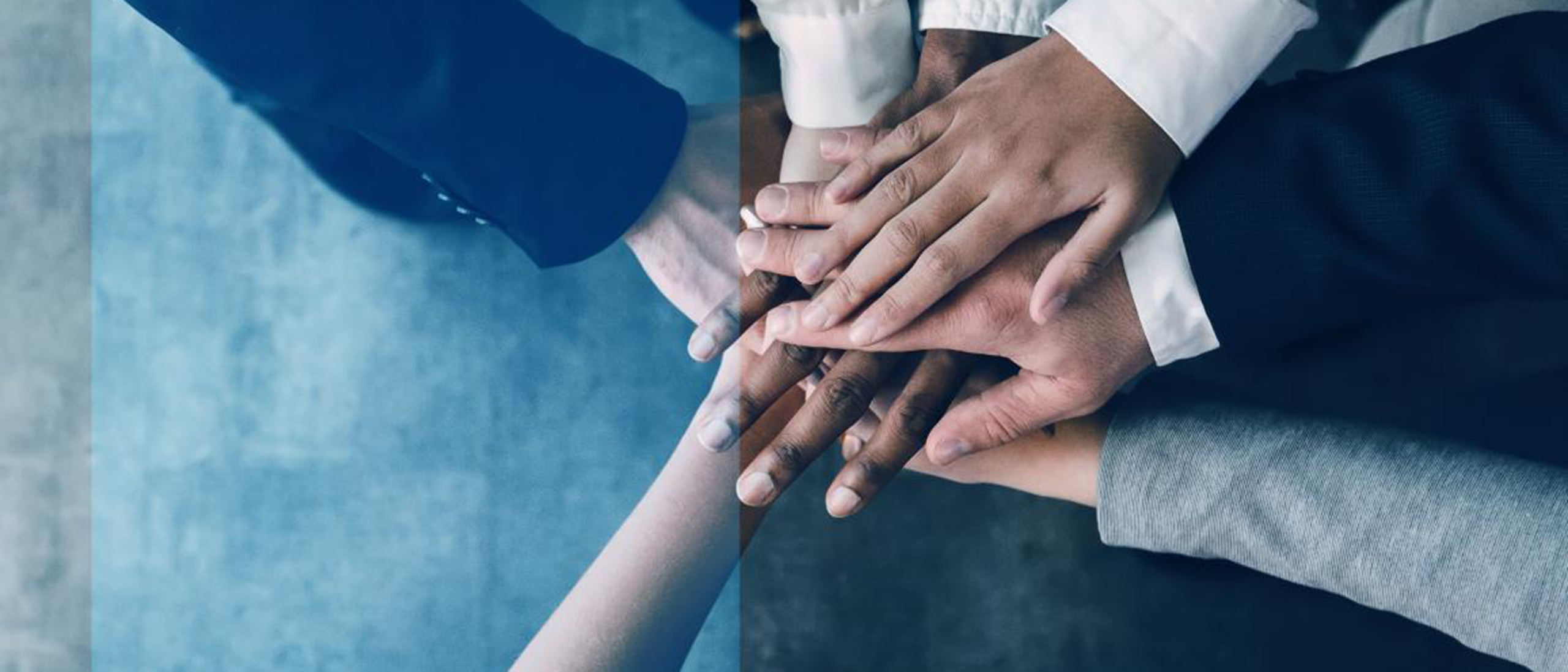 Strategic Plan - Service Alternatives